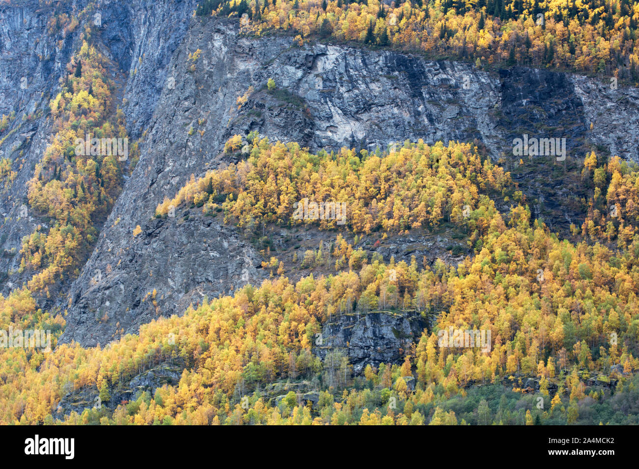 Gudbrandsdalen valley hi-res stock photography and images - Alamy