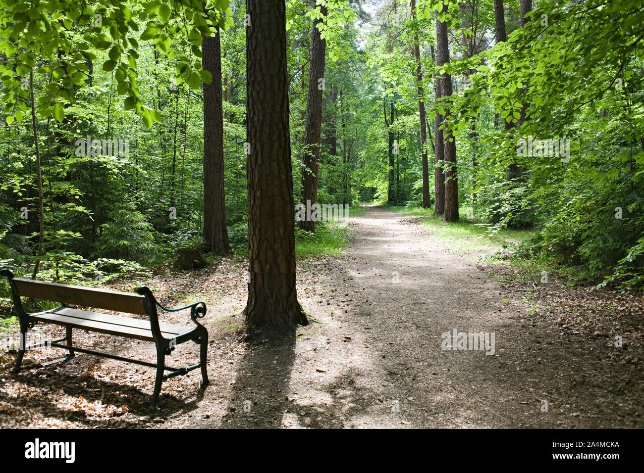 Wooden bench in form hi-res stock photography and images - Alamy