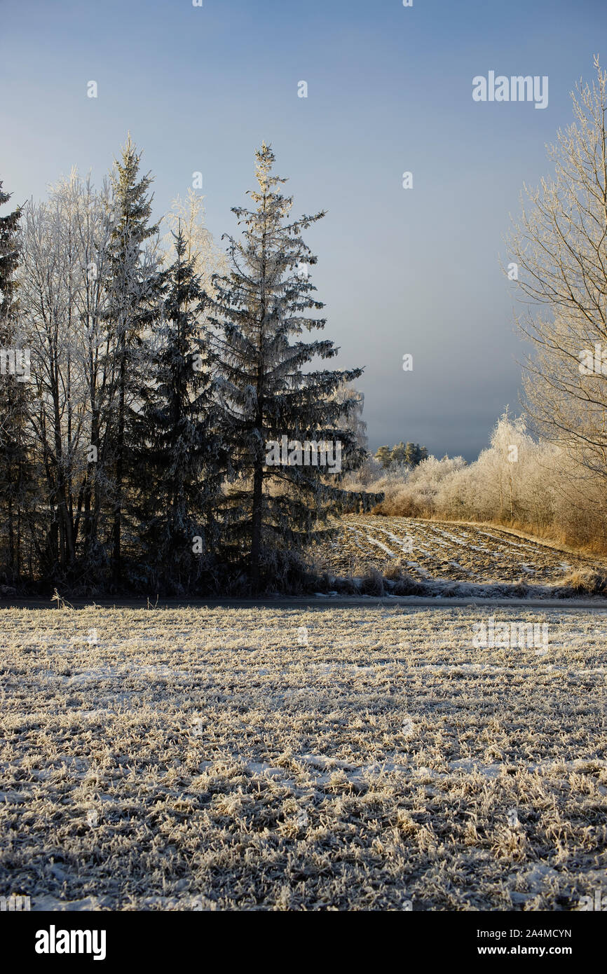 Frozen field hi-res stock photography and images - Alamy