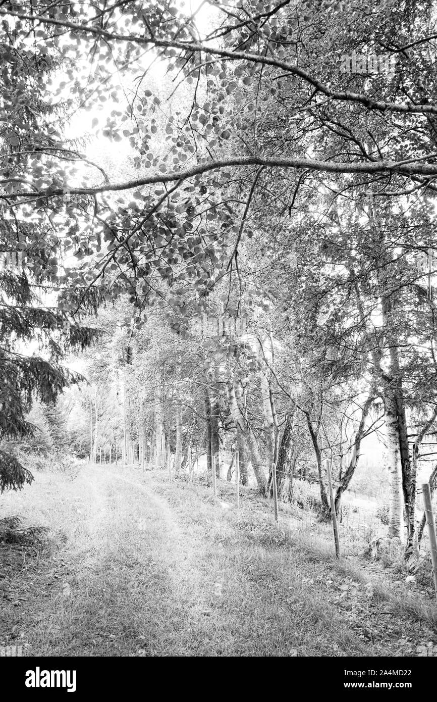 White paths hi-res stock photography and images - Alamy