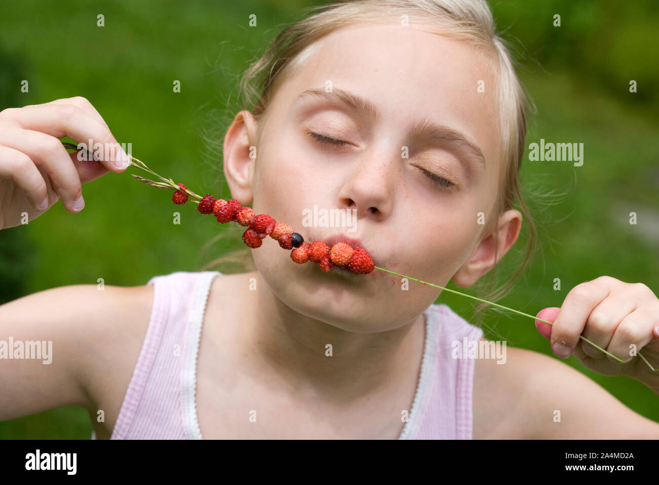 Berries alone hi-res stock photography and images - Alamy