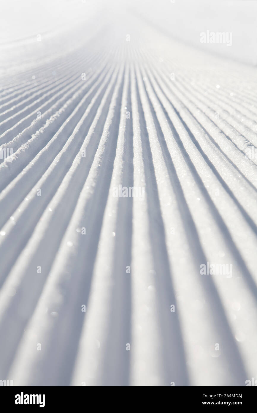 Tracks in snow Stock Photo - Alamy