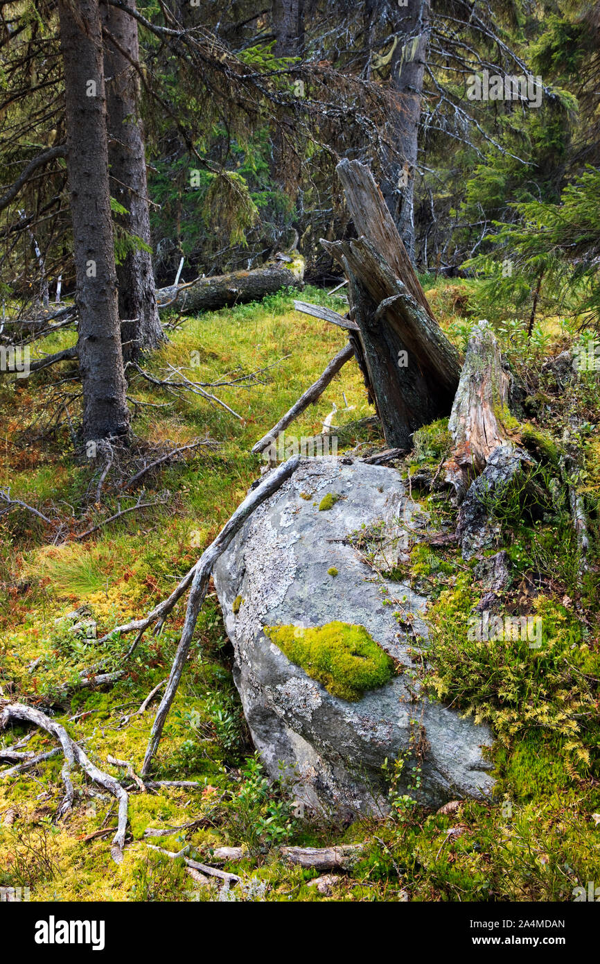 Engerdal hi-res stock photography and images - Alamy