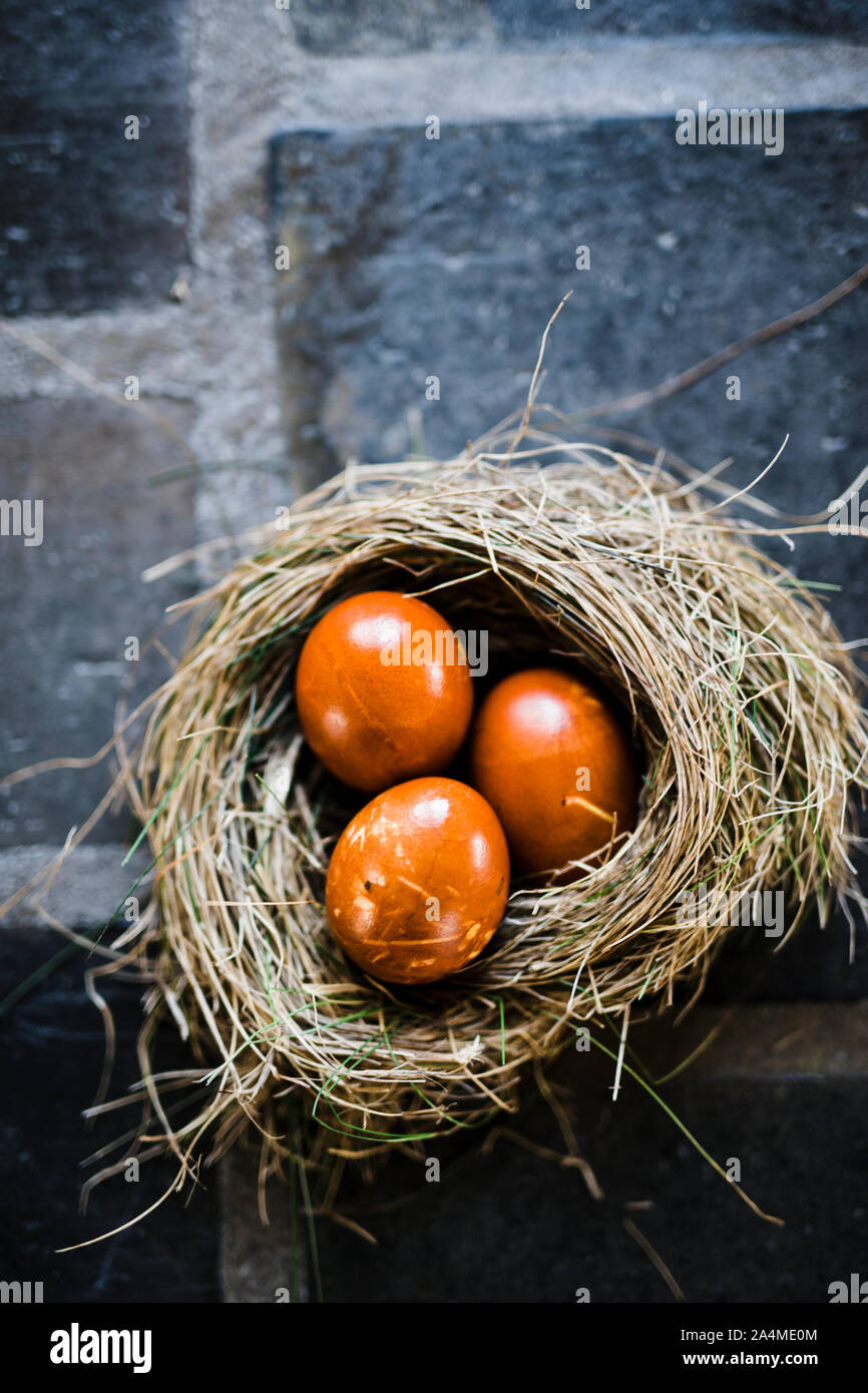 Easter eggs in nest Stock Photo - Alamy