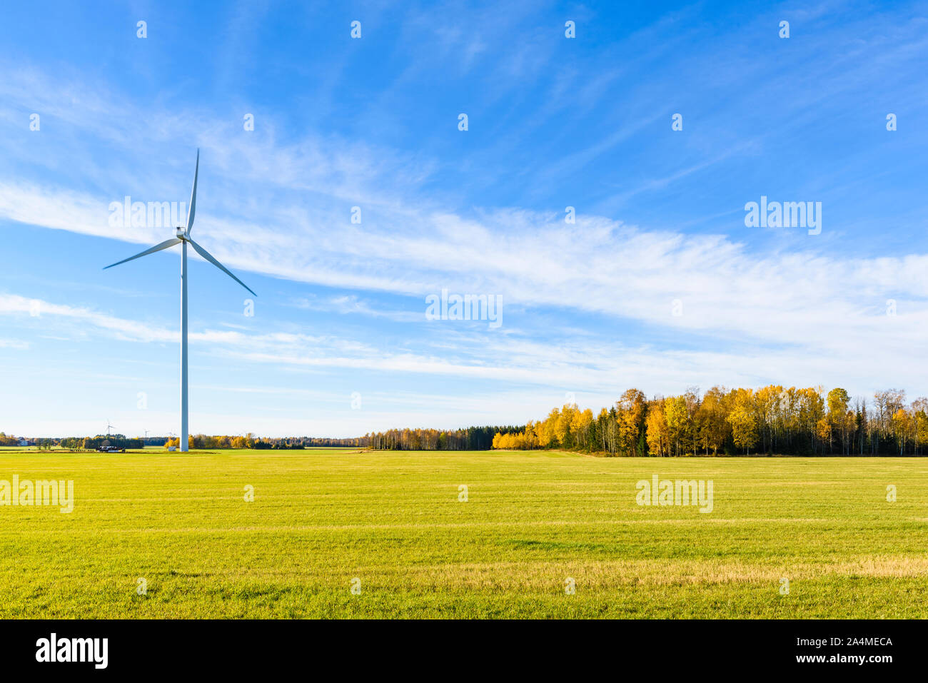 Wind turbine on field Stock Photo - Alamy