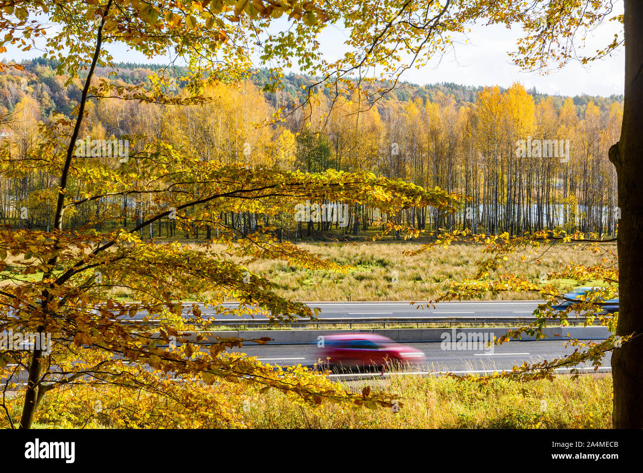 Trees along the motorway hi-res stock photography and images - Alamy