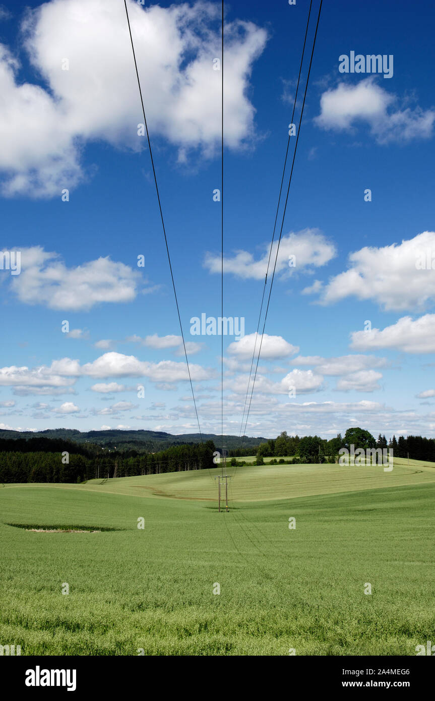 Norway crops agriculture hi-res stock photography and images - Alamy
