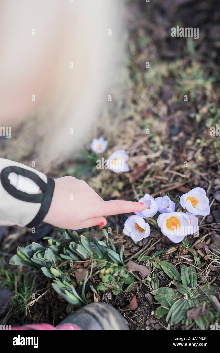 Girl touching flower Stock Photo - Alamy