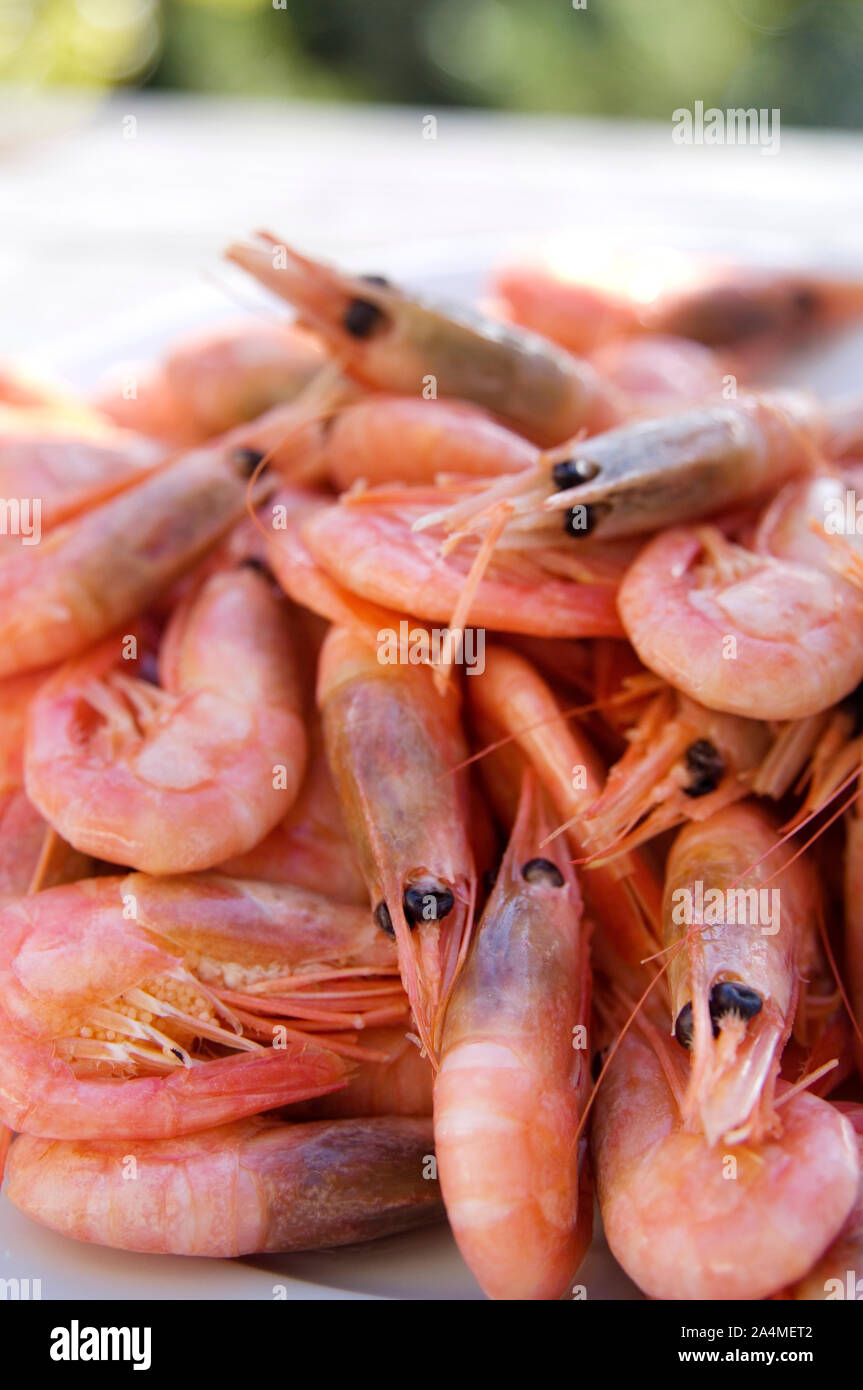Shellfish pile hi-res stock photography and images - Alamy