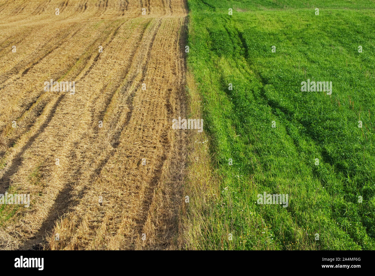 Trace and field hi-res stock photography and images - Alamy