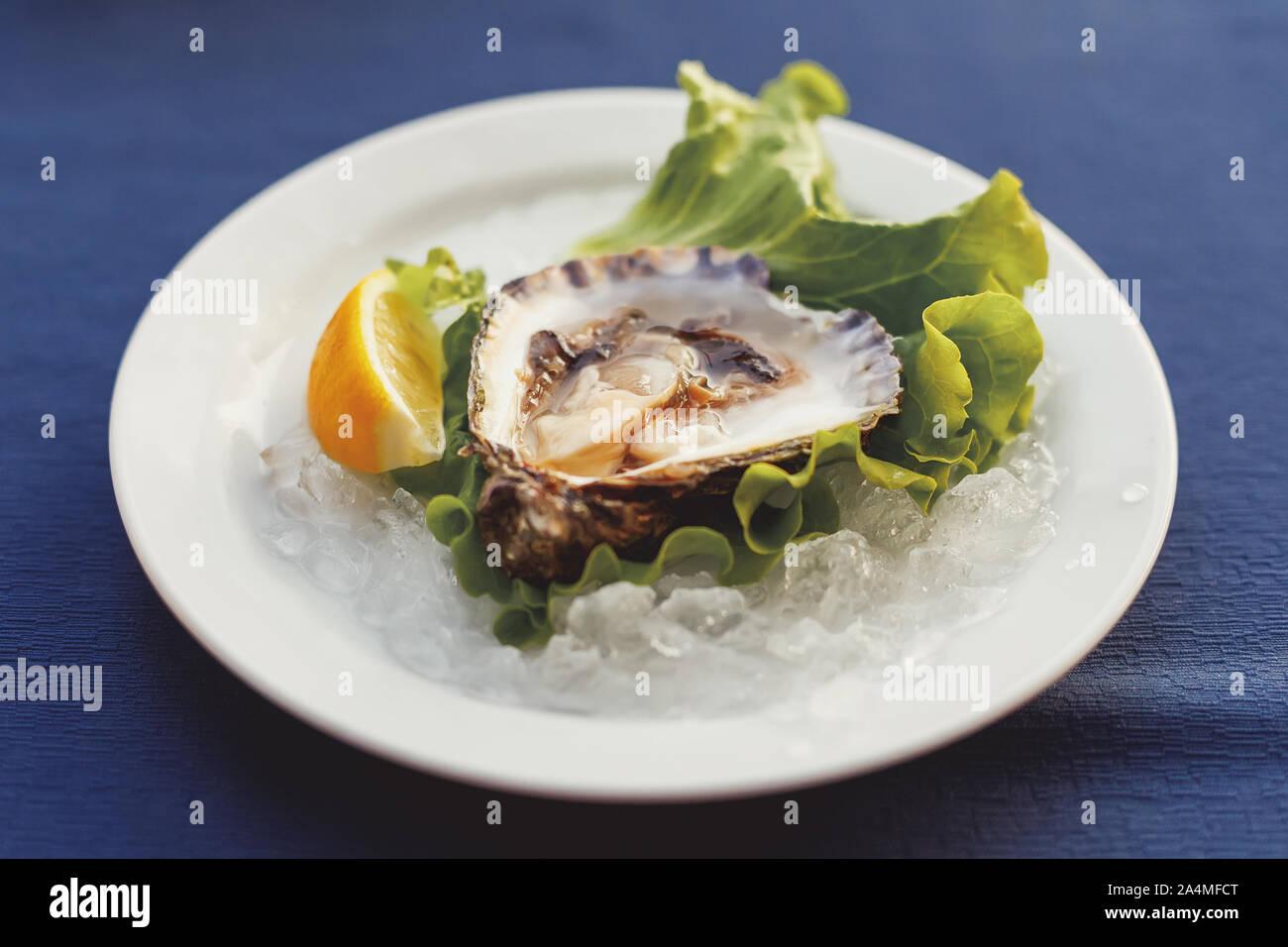 Single oyster in shell on plate served with lemon and green lettuce ...