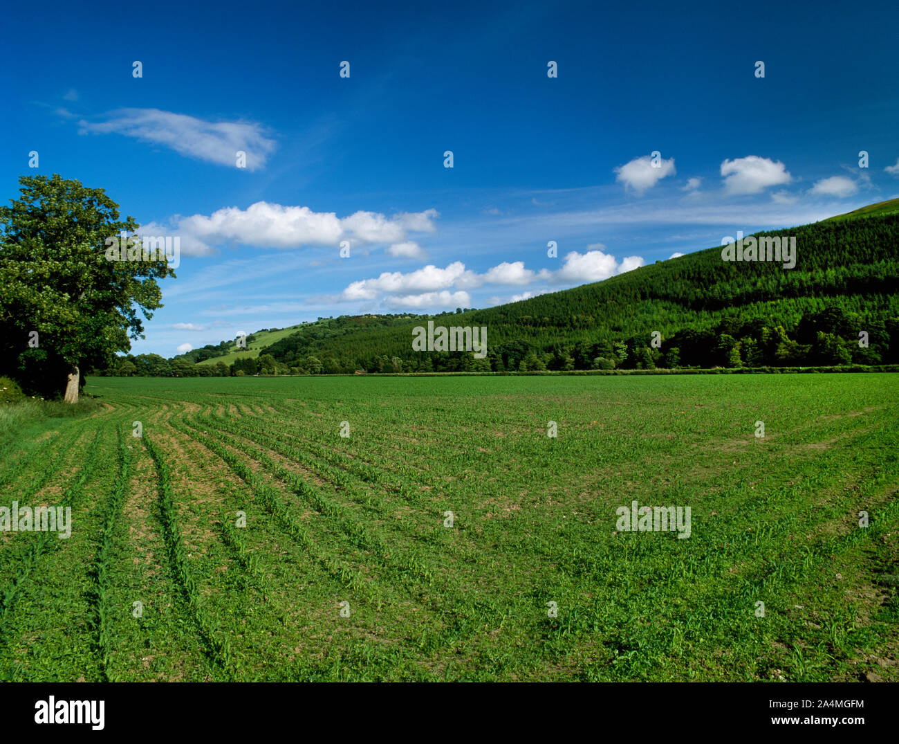 Denbigh railway hi-res stock photography and images - Alamy