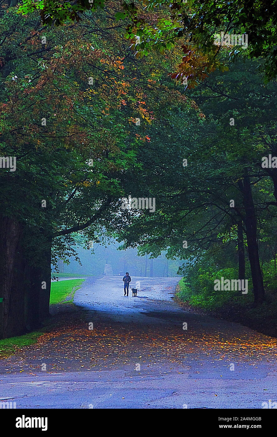 Man through trees hi-res stock photography and images - Alamy
