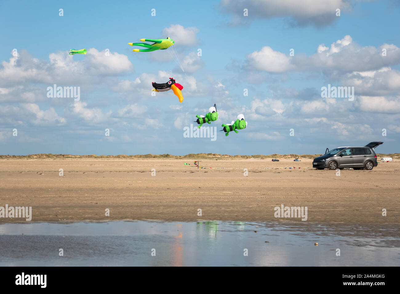 Colorful Kites Two kites in shapes of toucan, bees and a frog in the ...