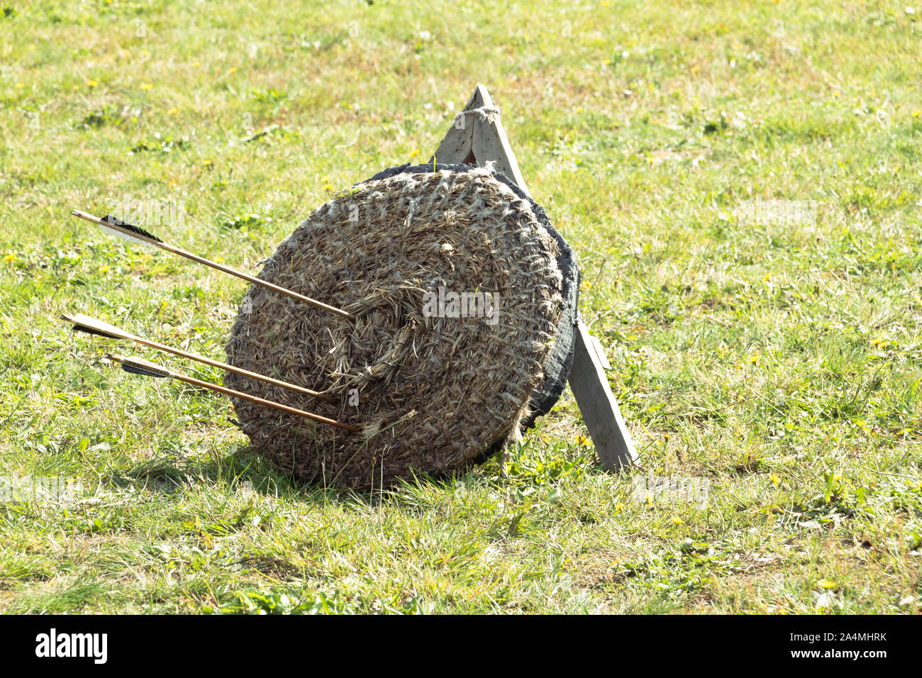 Some arrows nailed in a straw target for training with arrows and ...