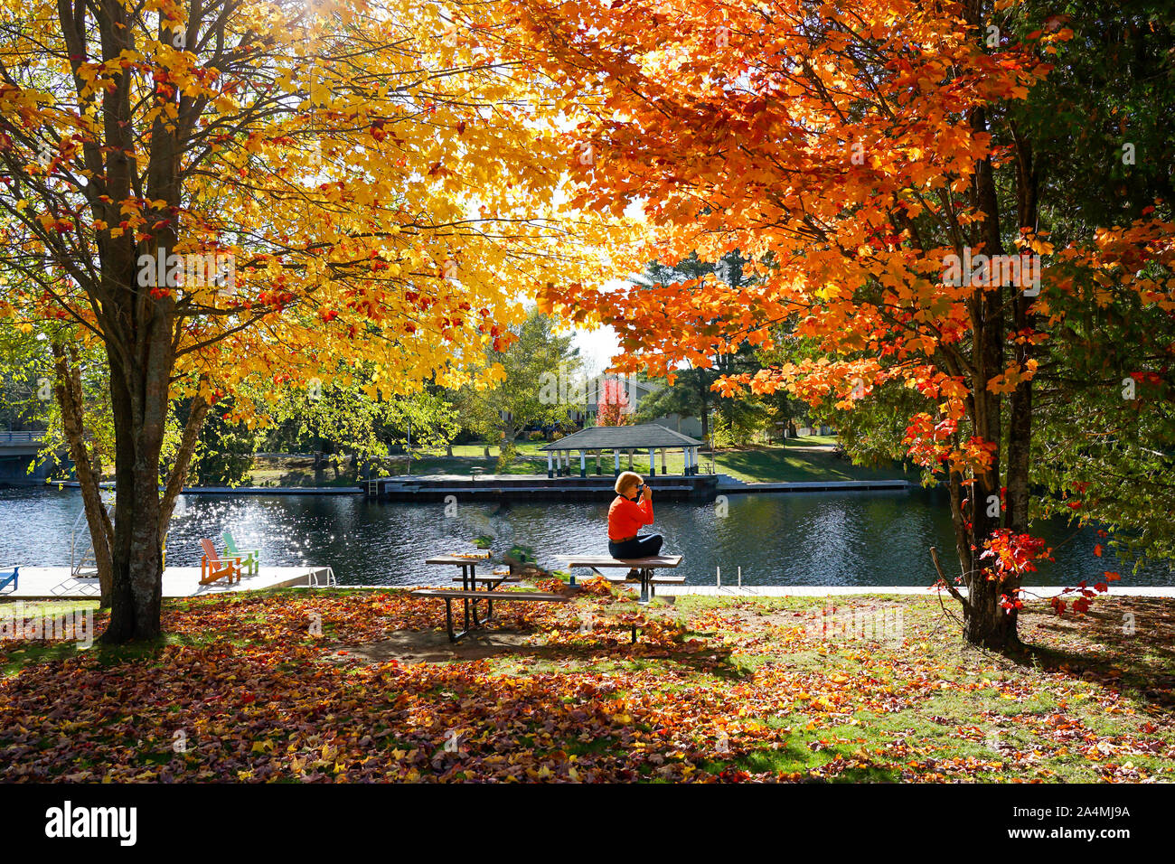 Autumn scene in Baysville, and High Falls near Bracebridge, Ontario ...