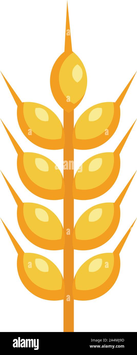 Wheat plant icon. Flat illustration of wheat plant vector icon for web ...