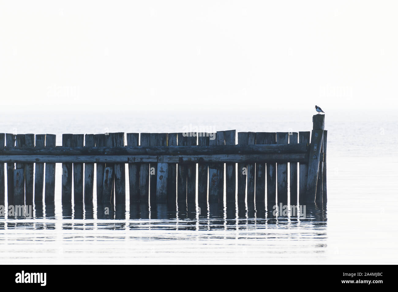 Posts in water hi-res stock photography and images - Alamy