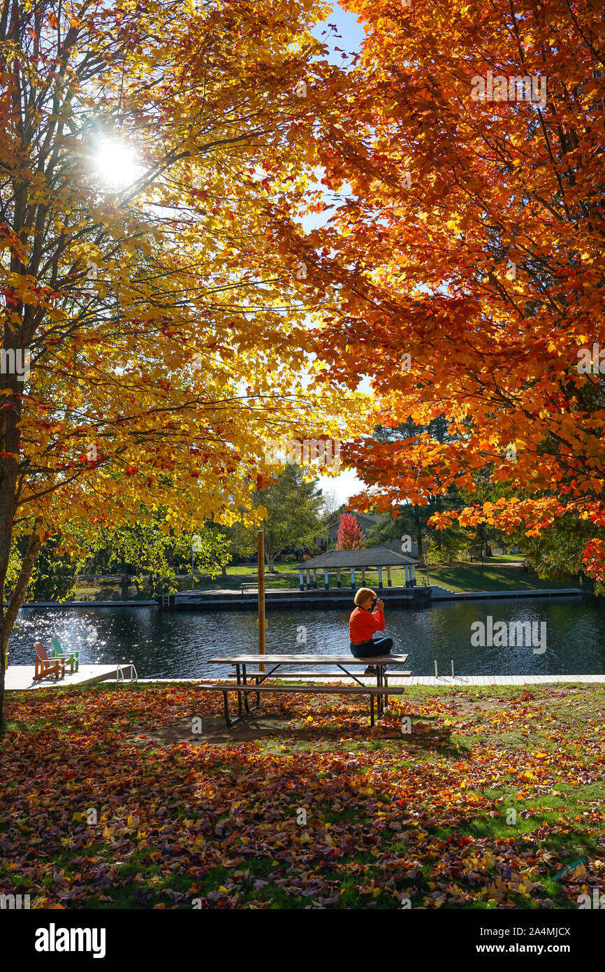 Autumn scene in Baysville, and High Falls near Bracebridge, Ontario ...