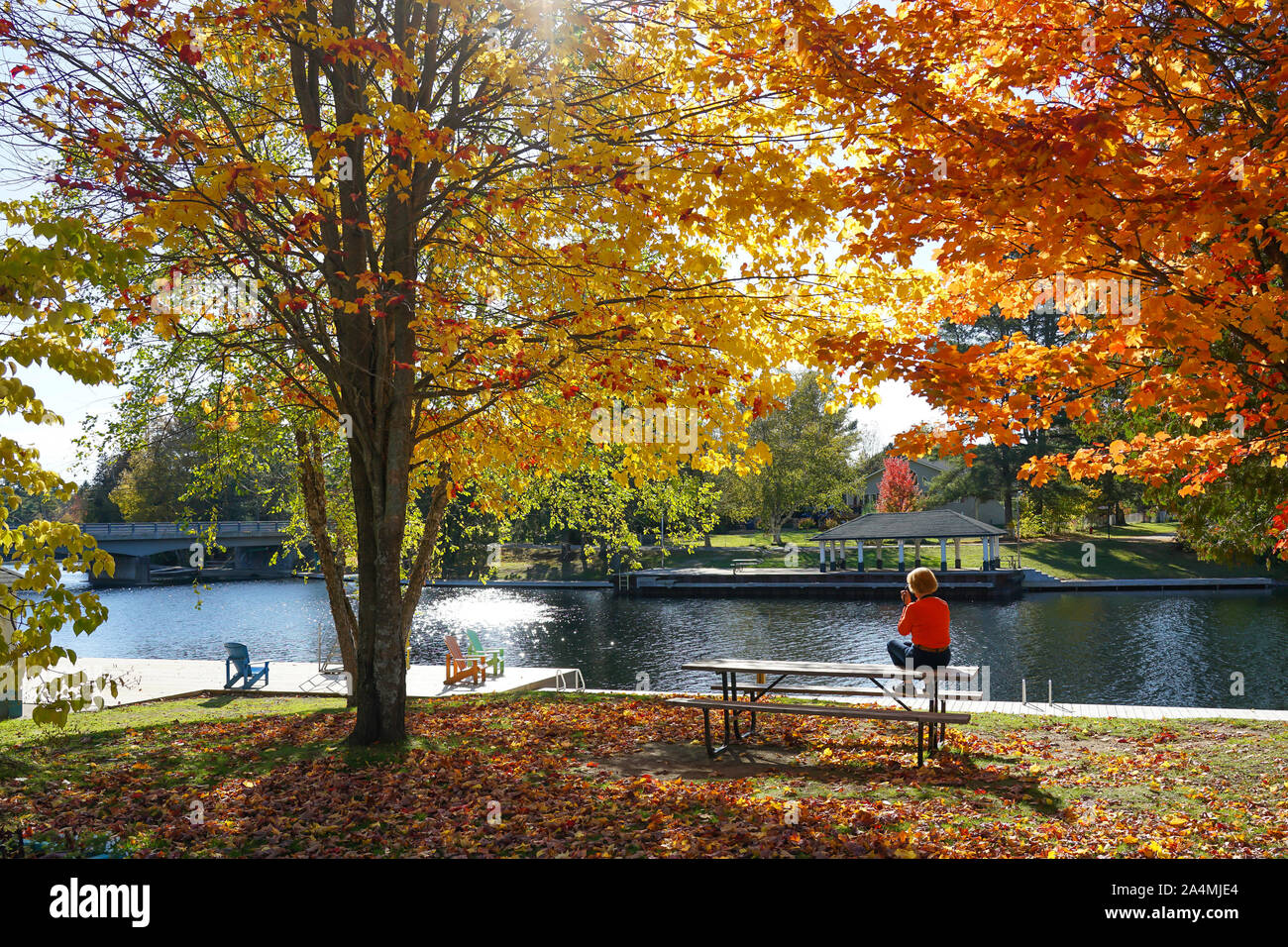 Autumn scene in Baysville, and High Falls near Bracebridge, Ontario ...