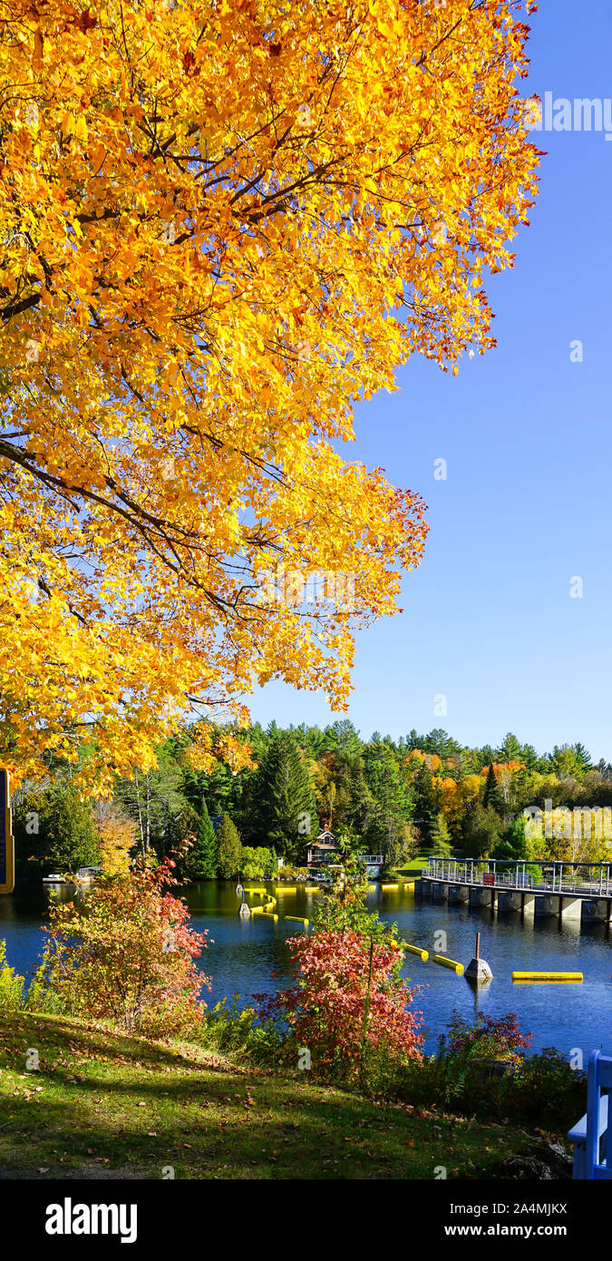Autumn scene in Baysville, and High Falls near Bracebridge, Ontario ...