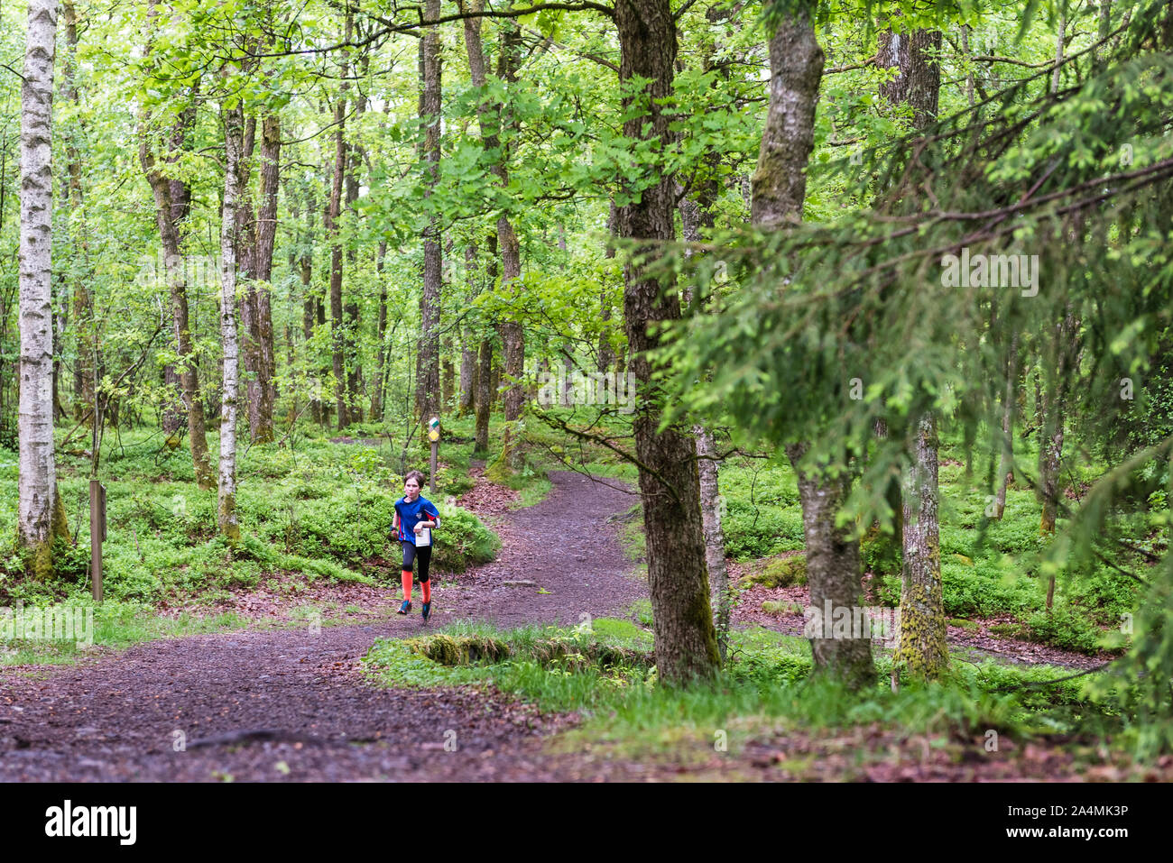 Boy running through forest Stock Photo - Alamy