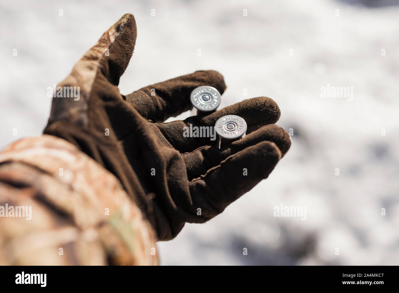 Hand holding bullets Stock Photo - Alamy