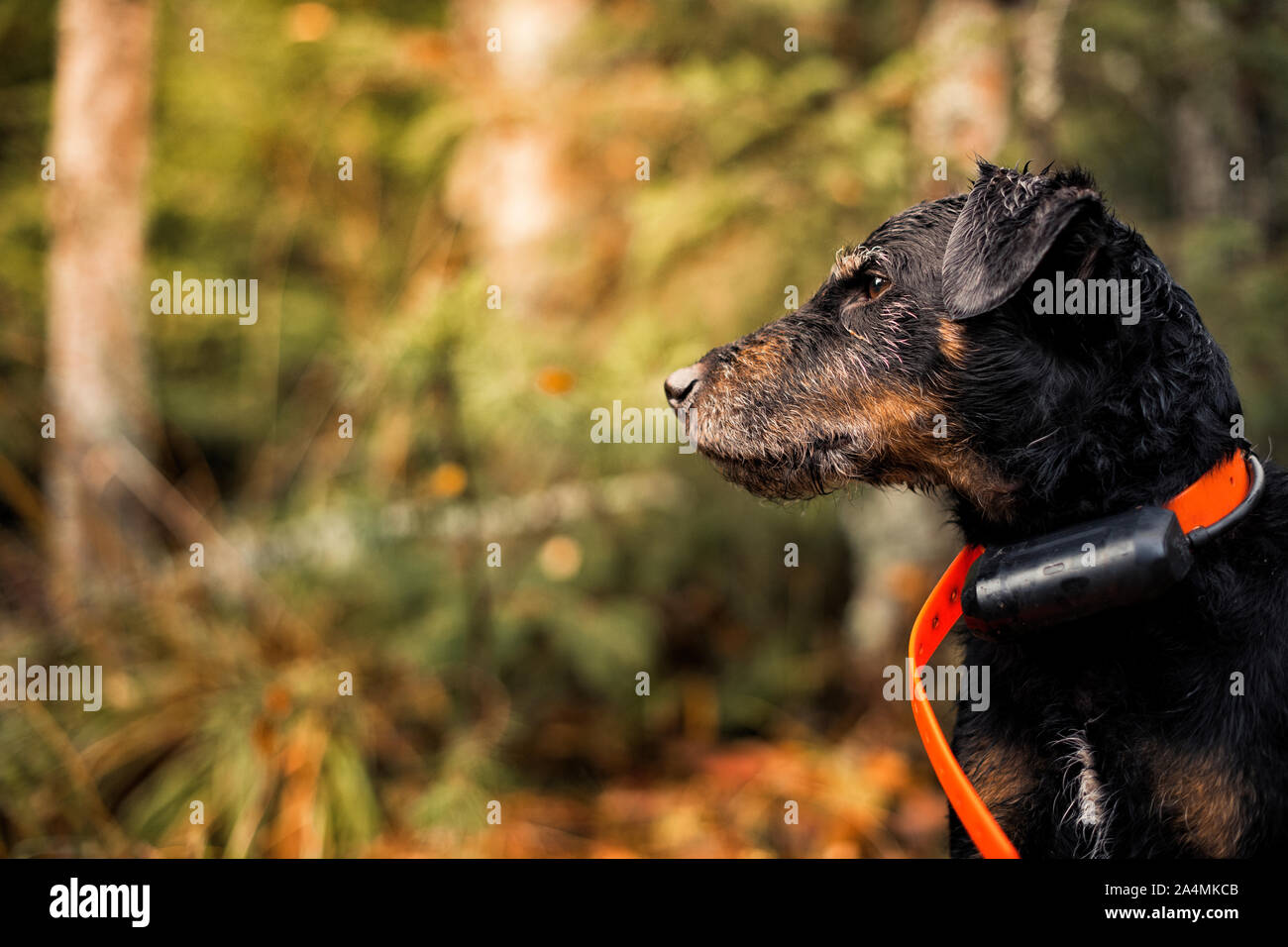 Environment alert image hi-res stock photography and images - Alamy