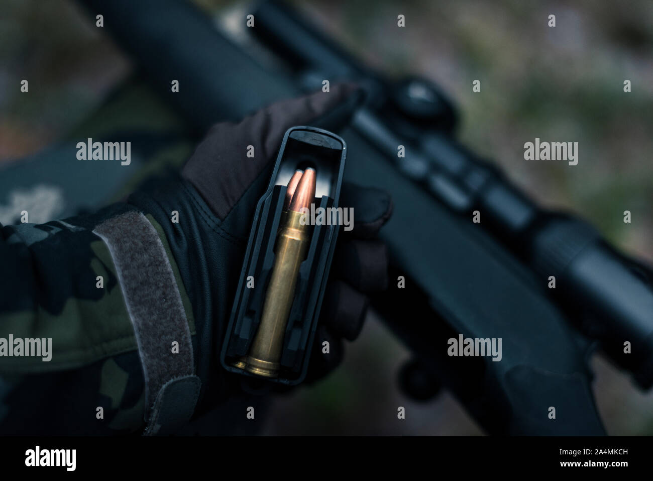 Hand holding bullets Stock Photo - Alamy