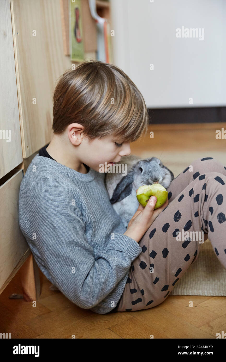 Boy with rabbit Stock Photo - Alamy