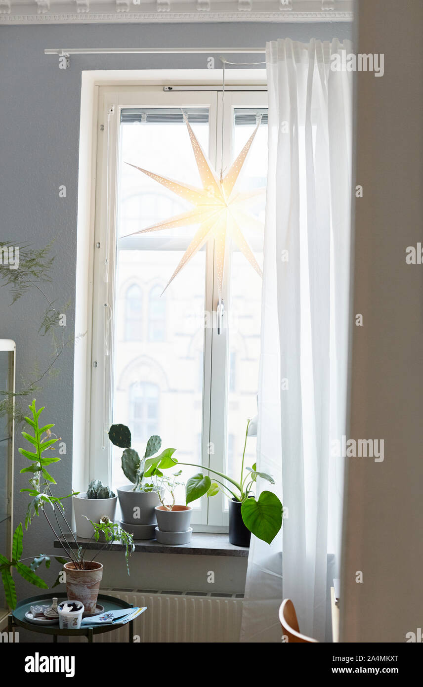 Star decoration on window Stock Photo - Alamy