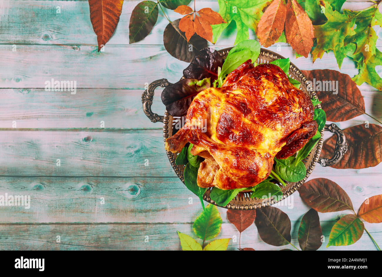 Bio chicken hi-res stock photography and images - Alamy