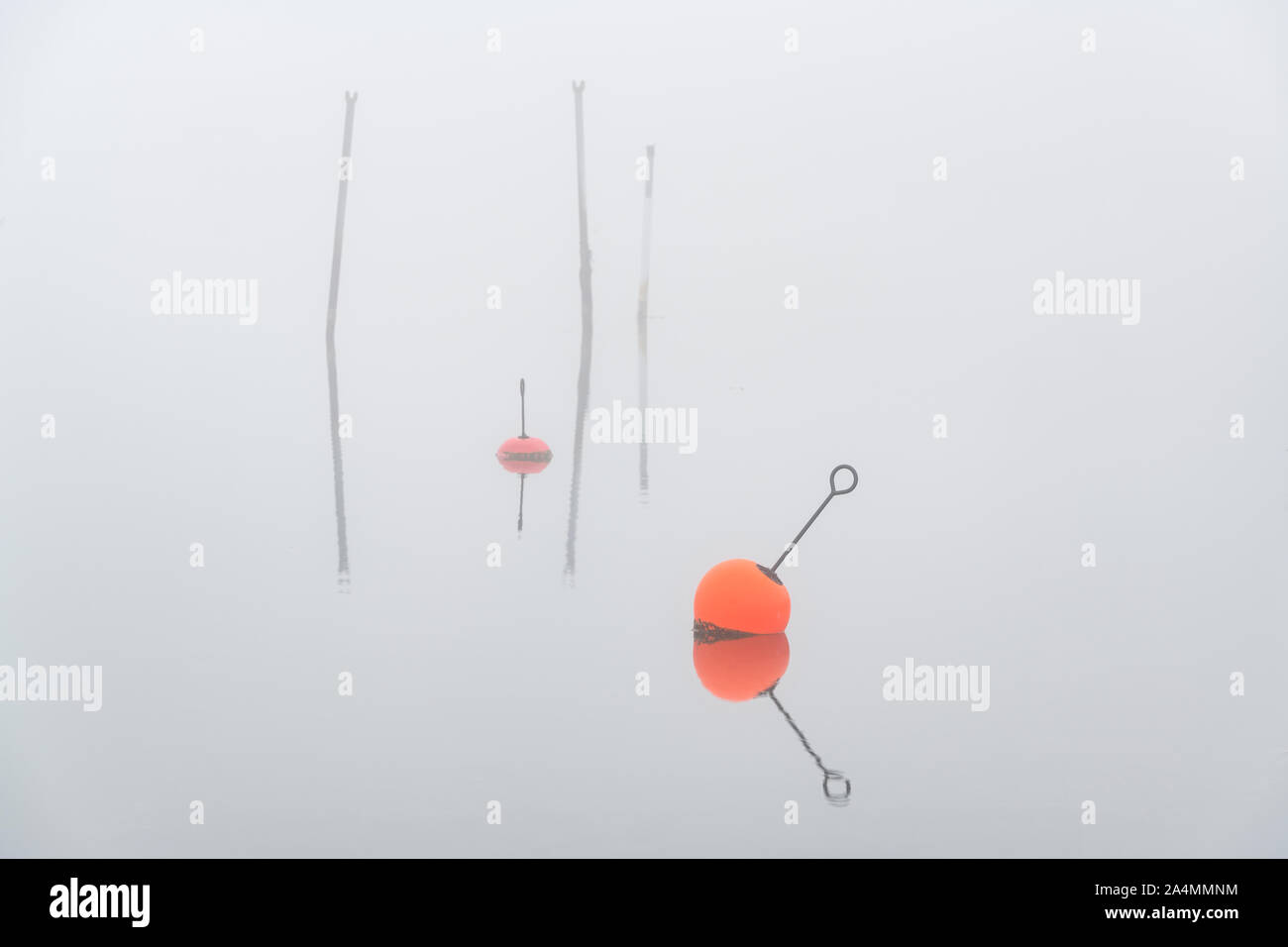 Buoy on water Stock Photo - Alamy