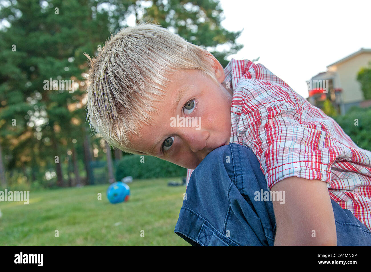 Boy looking at camera Stock Photo - Alamy