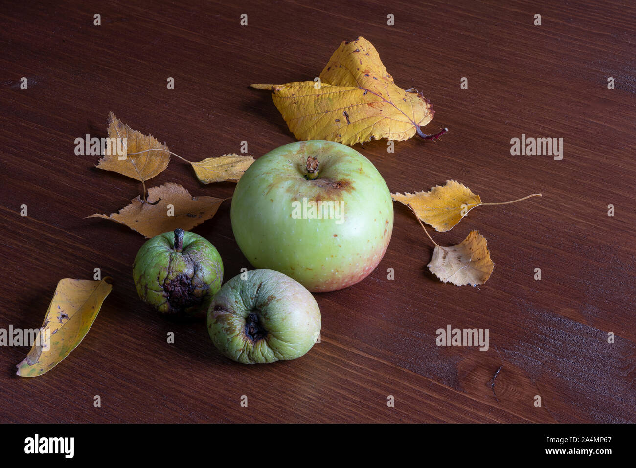 Two apples on a table hi-res stock photography and images - Alamy