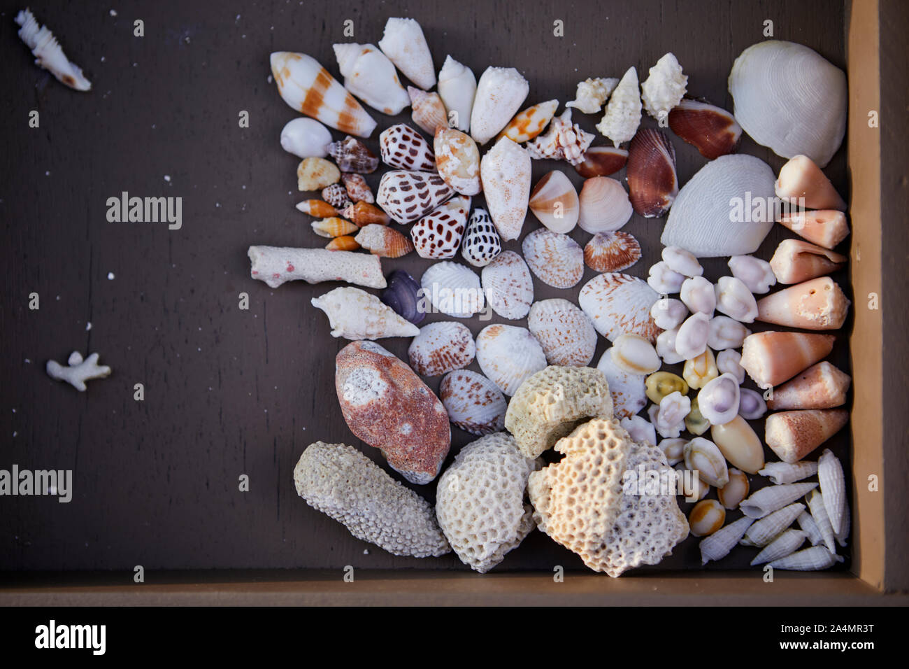 Asia collect hi-res stock photography and images - Alamy