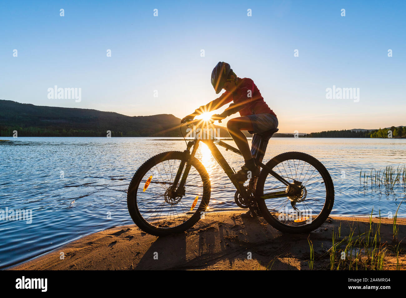 Teenage life cycle hi-res stock photography and images - Alamy