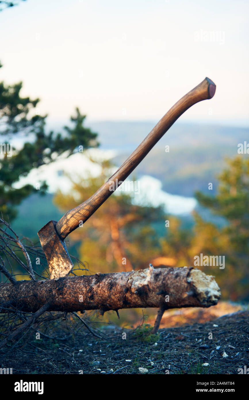Axe in tree trunk Stock Photo - Alamy