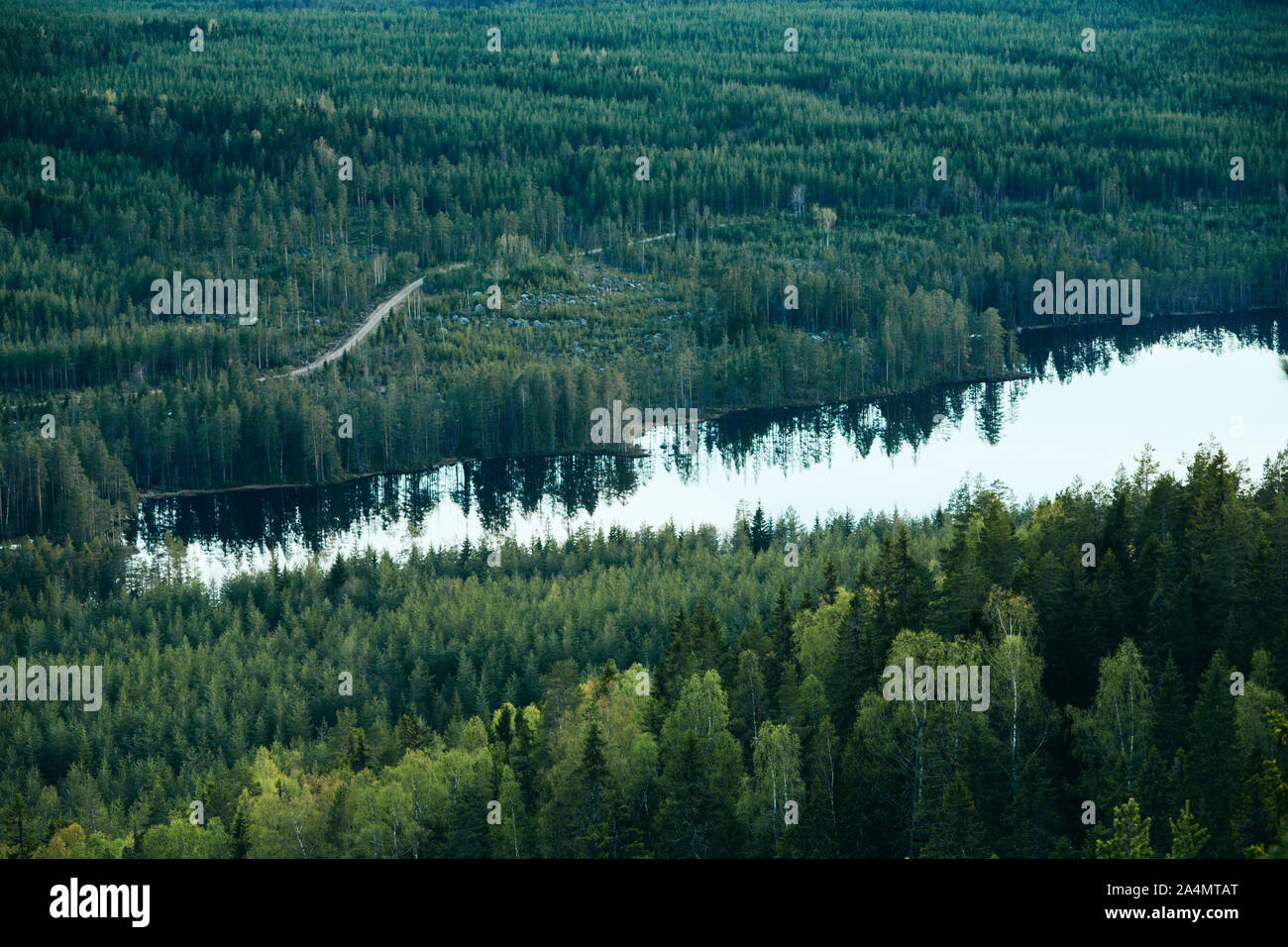 Lake in forest Stock Photo - Alamy