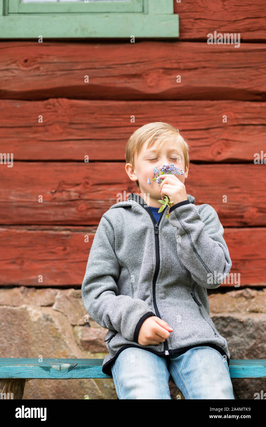 Boy smelling flower Stock Photo - Alamy