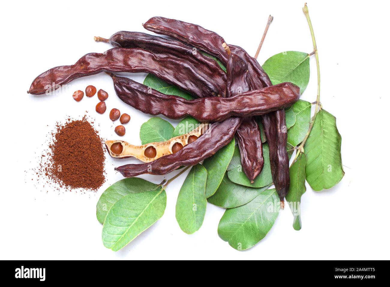 Carob beans with carob powder. Healthy organic sweet carob pods with ...