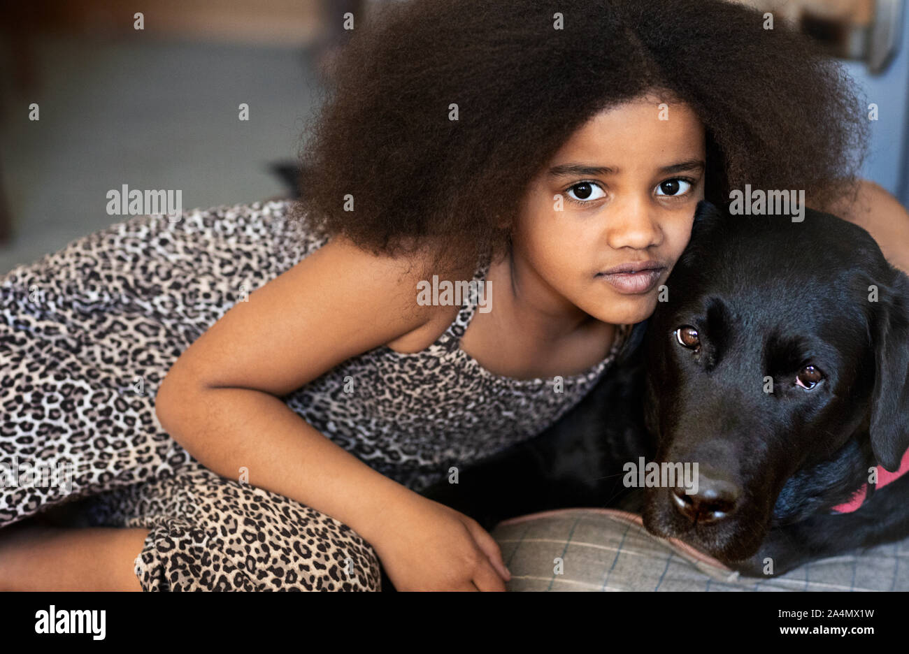 Girl with dog Stock Photo - Alamy