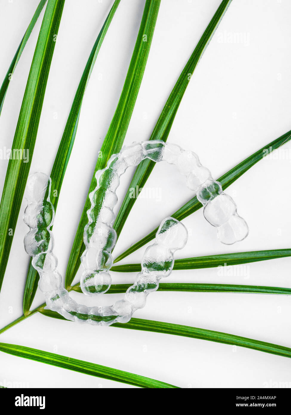 orthodontic clear aligner to straighten teeth with green leaves, Green ...