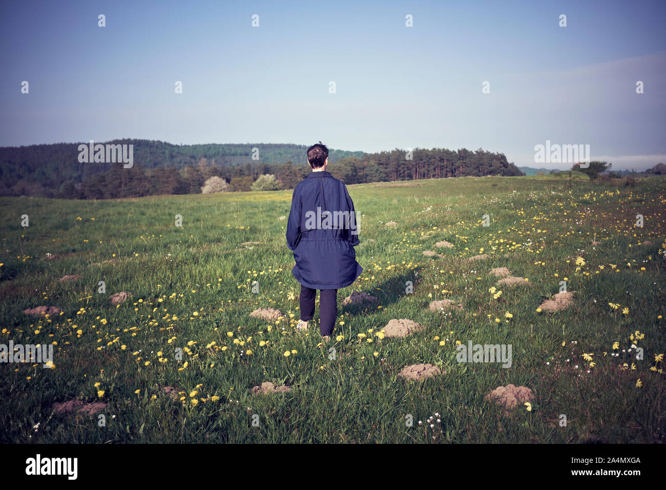 Summer walk point view through hi-res stock photography and images - Alamy