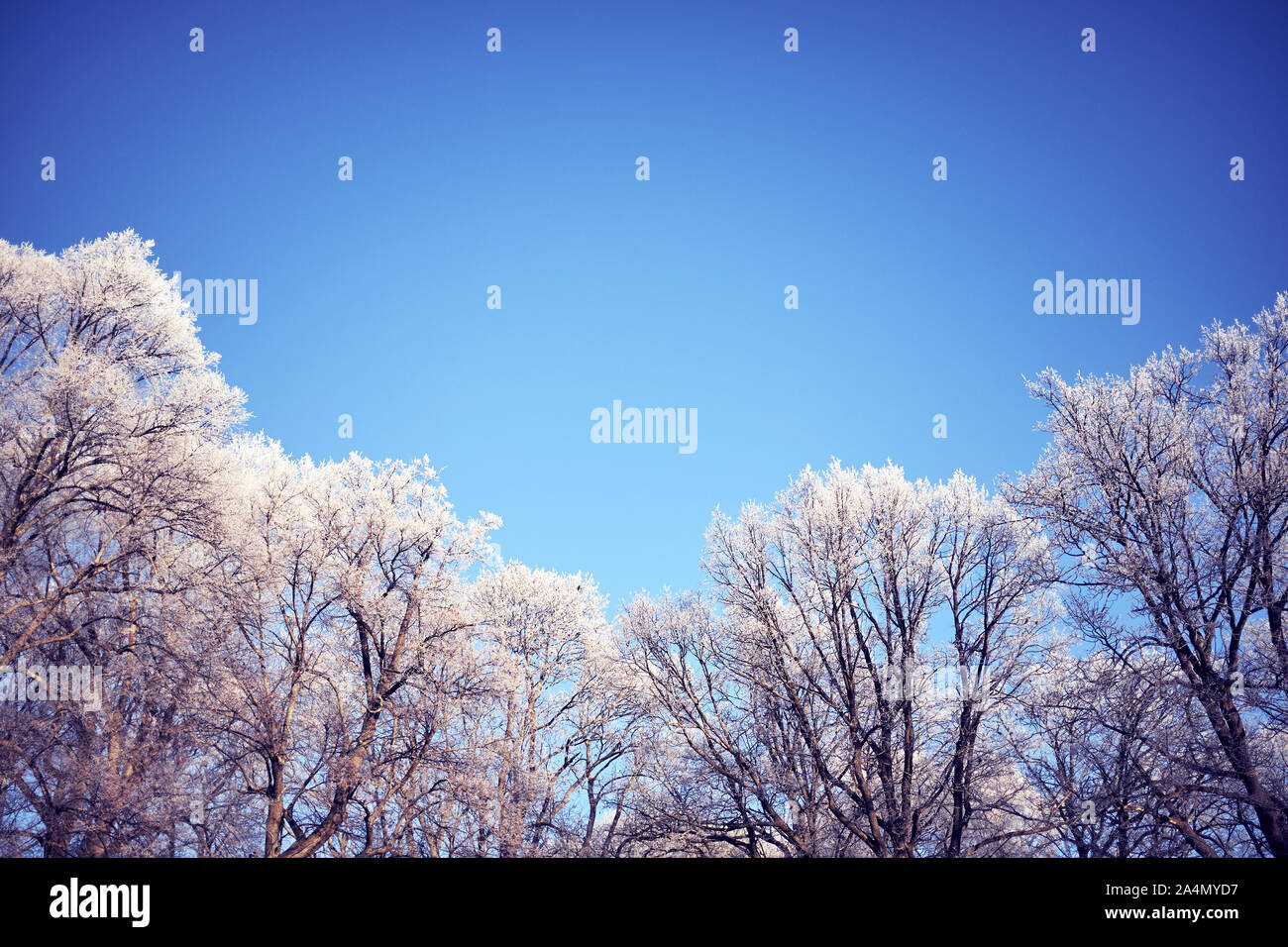 Frost image hi-res stock photography and images - Alamy