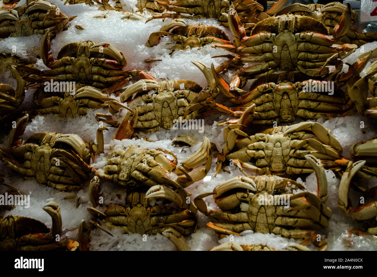 Snow crab hi-res stock photography and images - Alamy