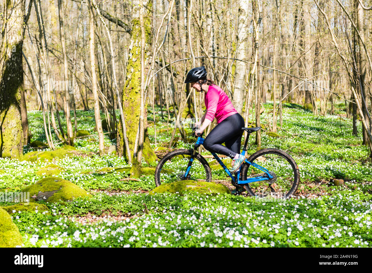 Cyclist family view hi-res stock photography and images - Alamy