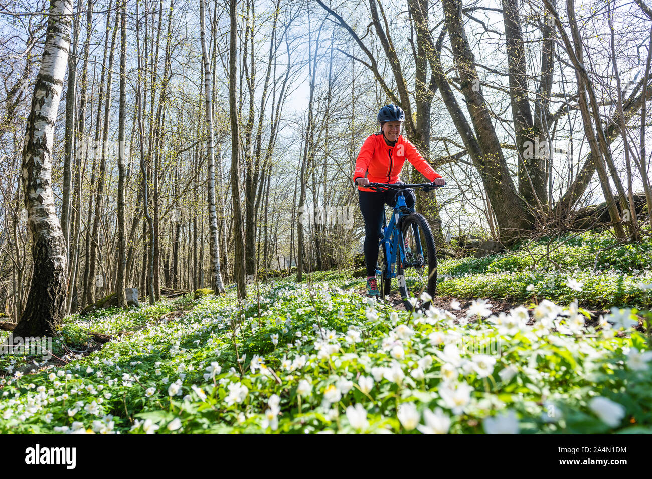 Life cycle of plants hi-res stock photography and images - Alamy