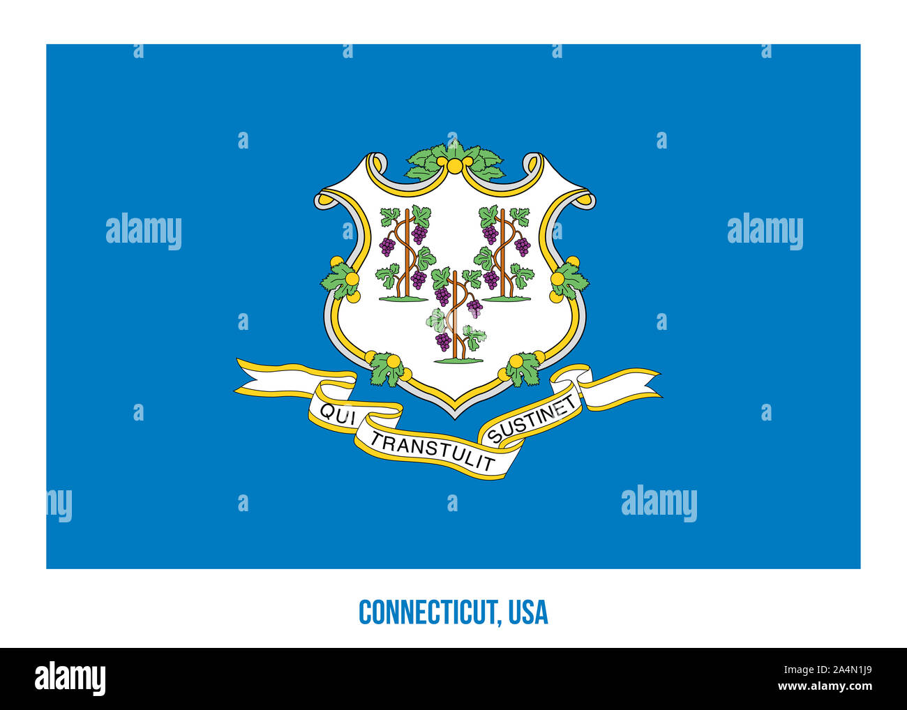 Connecticut (USA State) Flag Vector Illustration on White Background ...