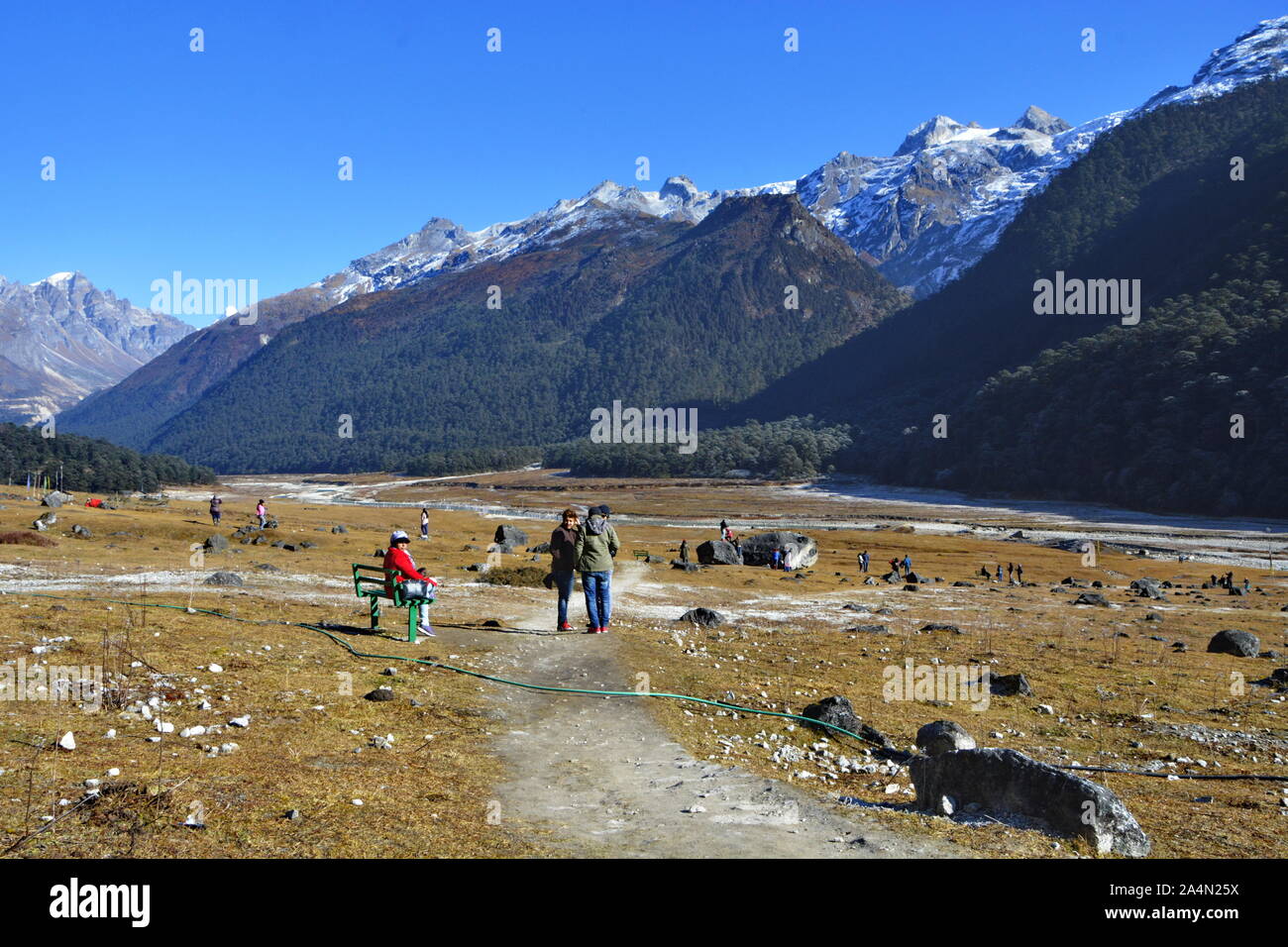 Yumthang Valley Sikkim Stock Photo - Alamy